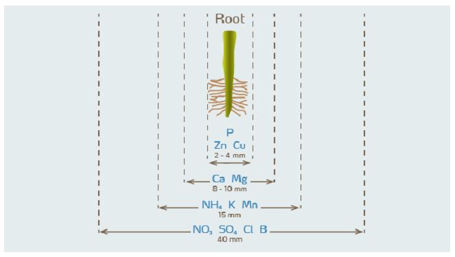 Maximize Yield Potential with Foliar Phosphate | Yara New Zealand